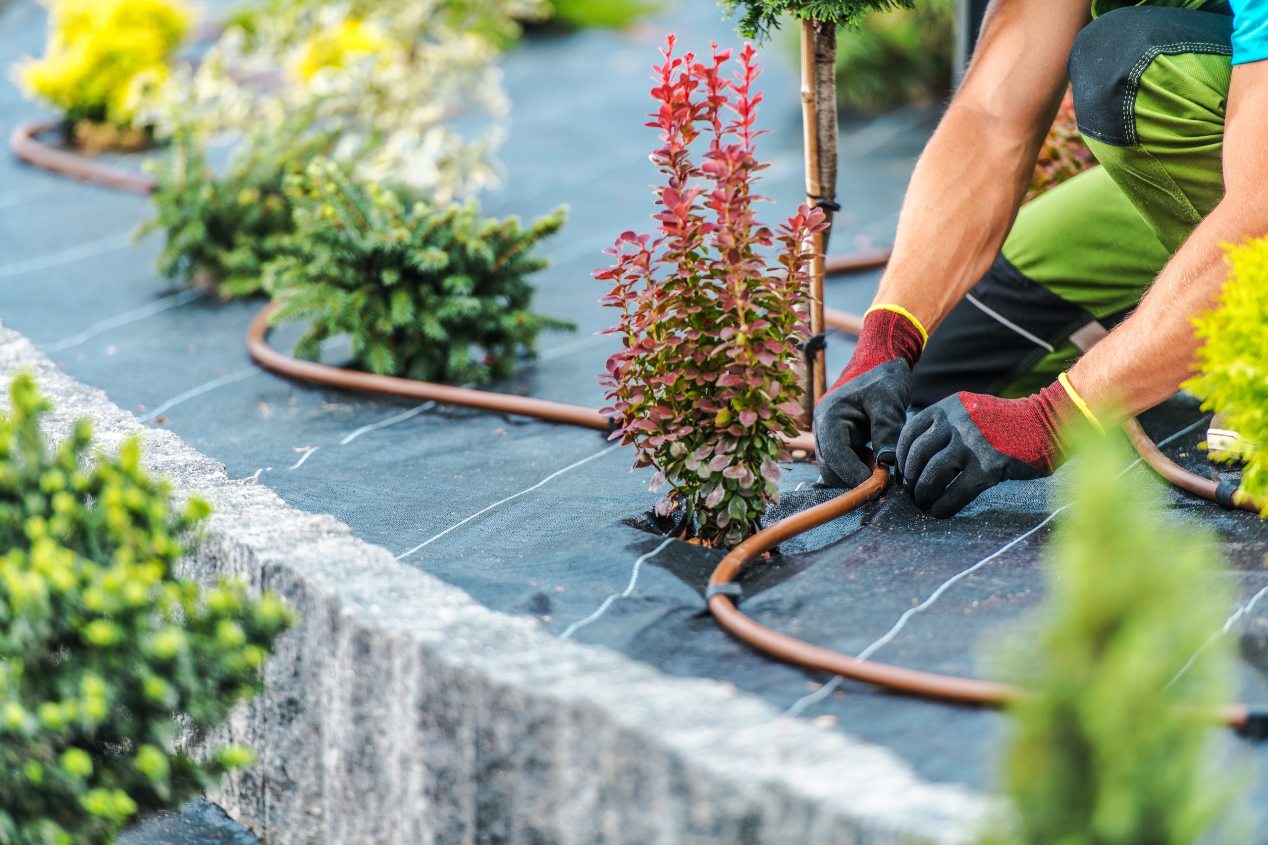 Water-Efficient Irrigation Systems For Reno Homes | DRC Landscaping