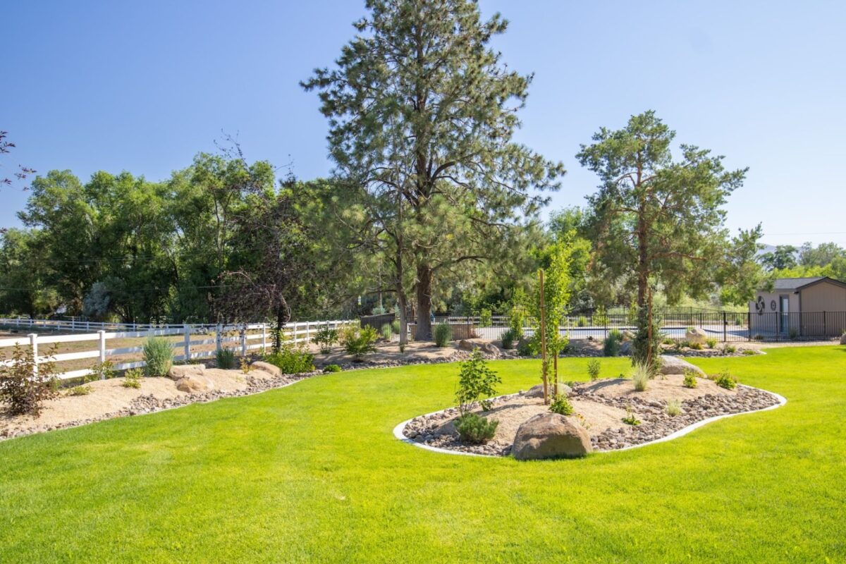 Synthetic Turf vs. Natural Grass In Northern Nevada: Pros, Cons, & Cost ...